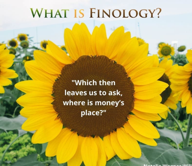 Introducing: Money MindBender$ - What is Finology?